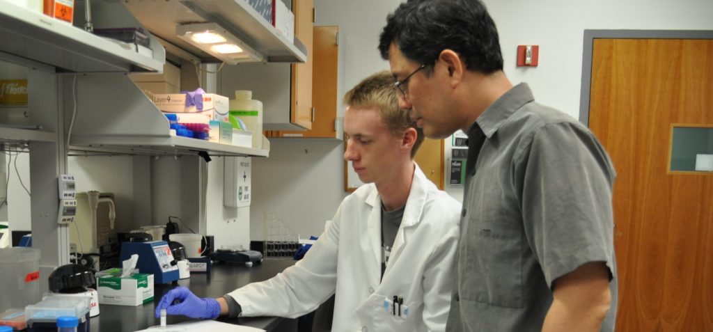 Mason Scientists Put Bees Under the Microscope in Groundbreaking ...